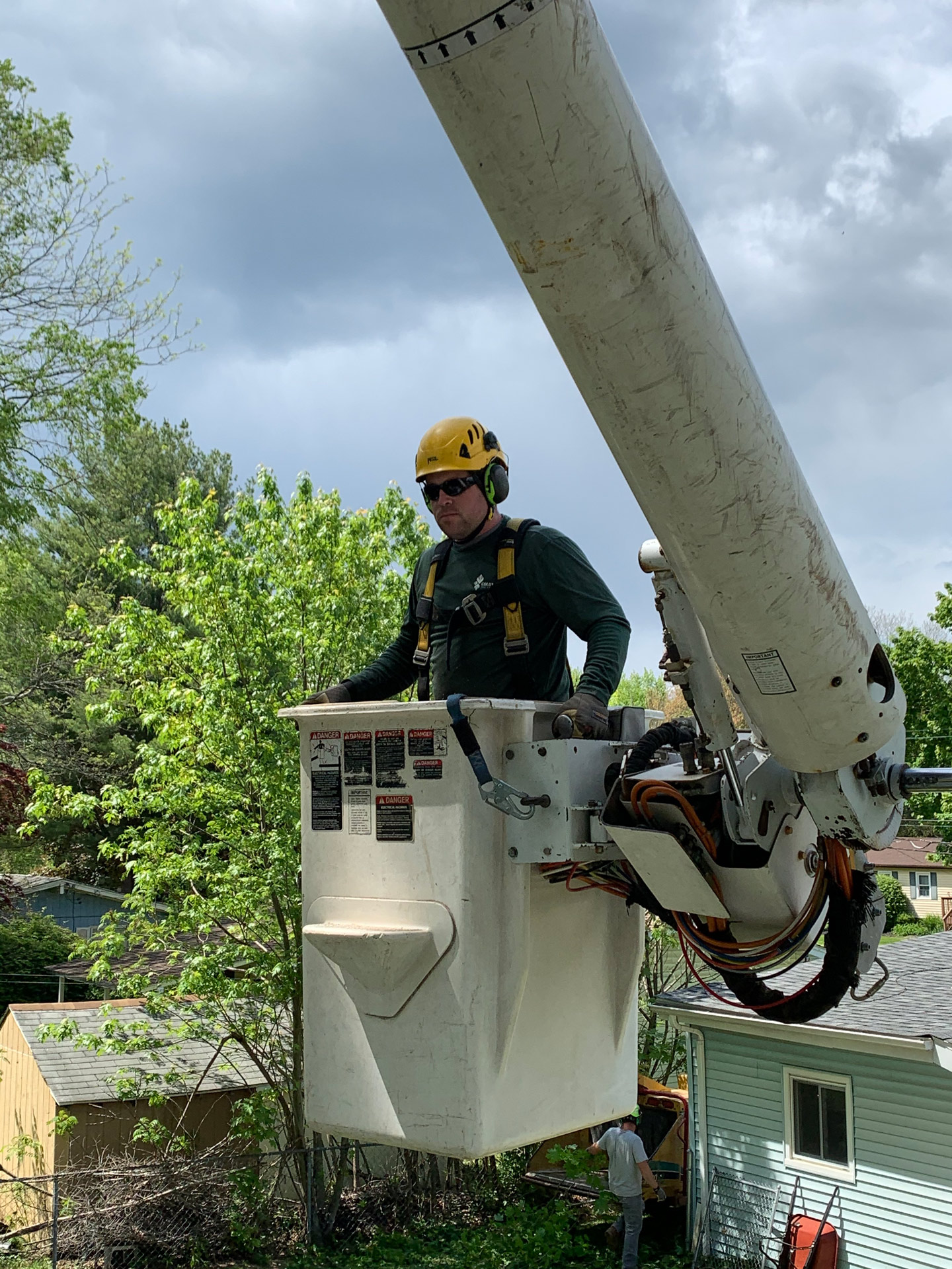 Photo Gallery | Columbia Tree Care