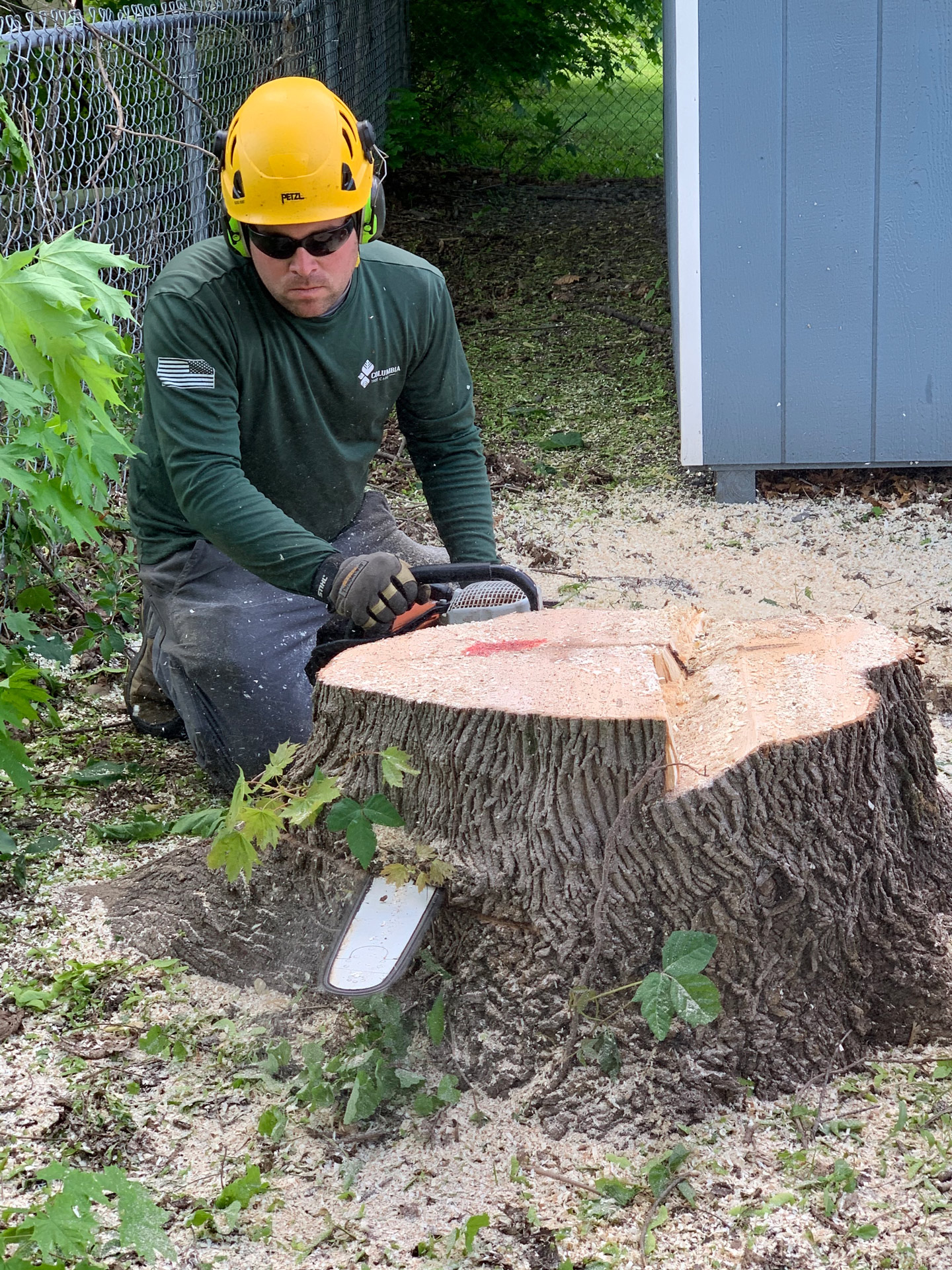 Photo Gallery | Columbia Tree Care