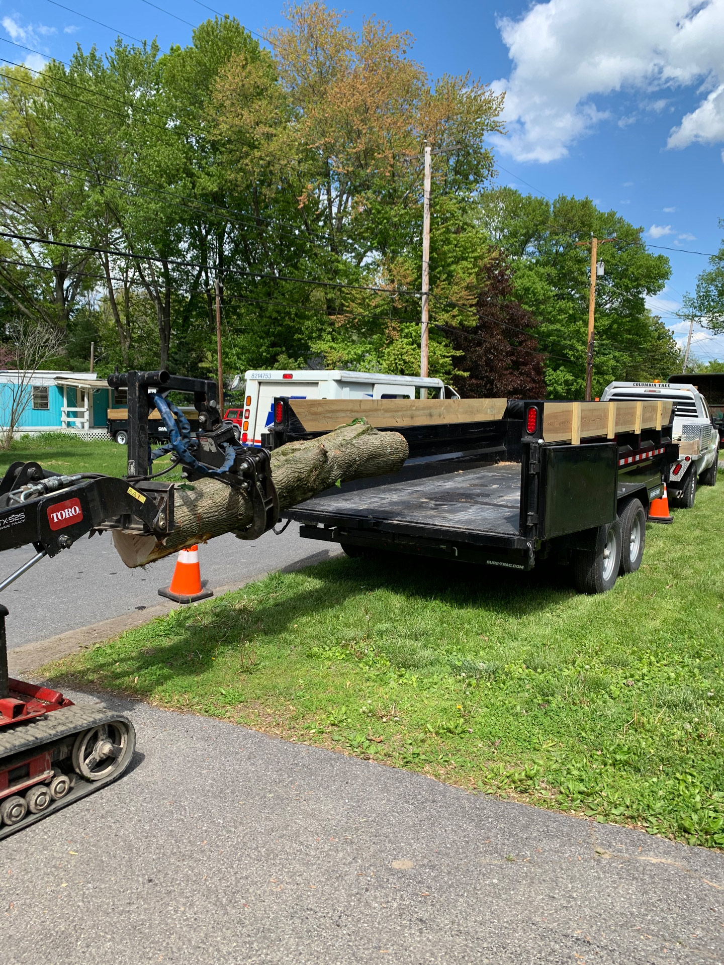 Photo Gallery | Columbia Tree Care