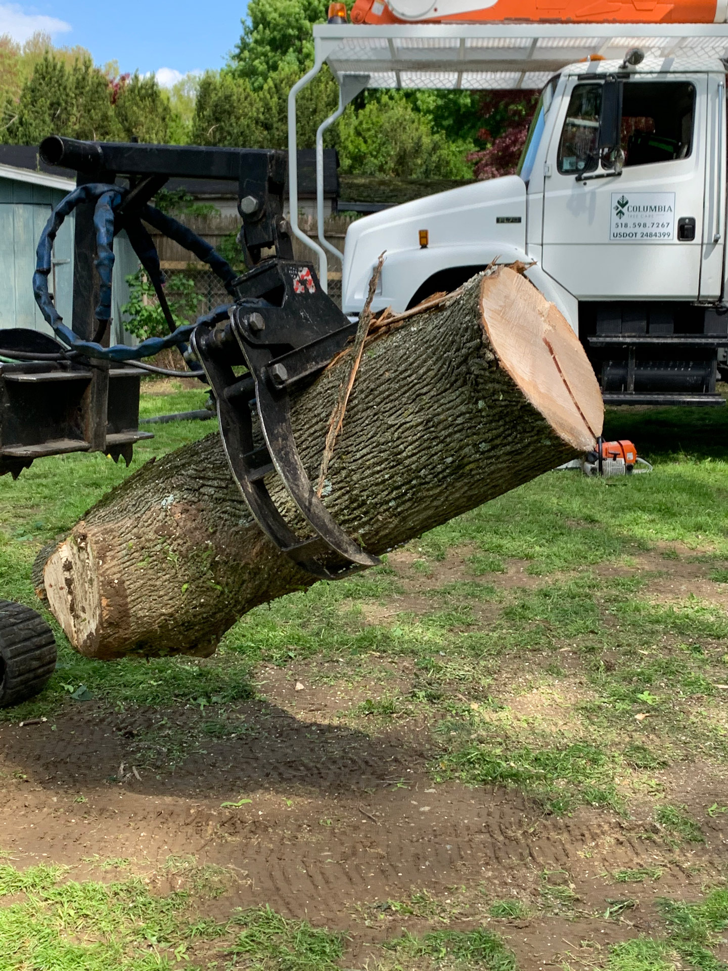 Photo Gallery | Columbia Tree Care